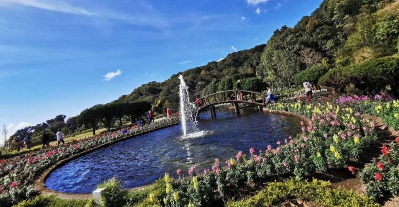 Private Doi Inthanon With Trekking Pha Dok Siew Nature Trail - A Scenic Lunch at Mae Klang Luang