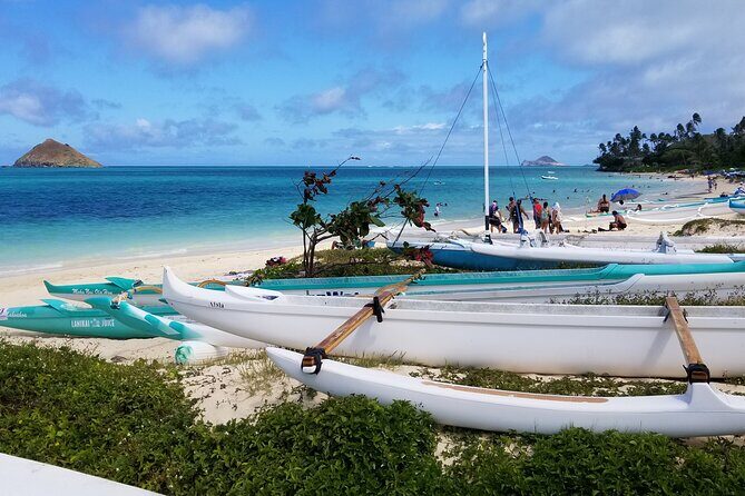 Private Dole,Garlic Shrimp,Haleiwa,North Shore Customizable tour - Final Thoughts