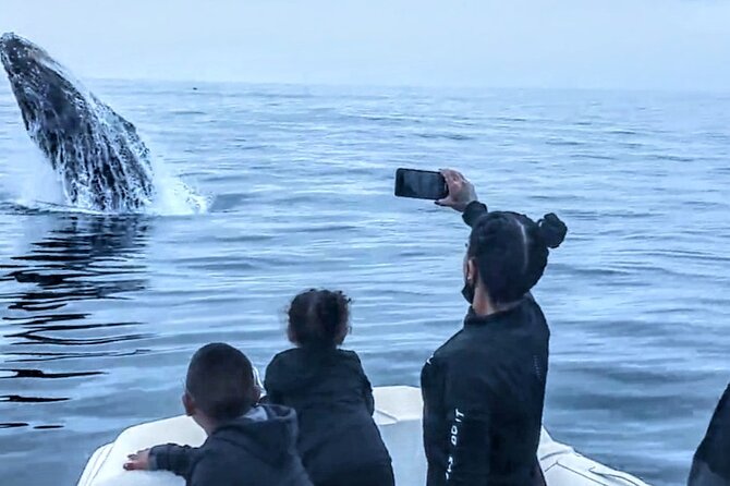 Private Dolphin and Whale Watching Tour in Newport Beach - Who Should Consider This Tour?