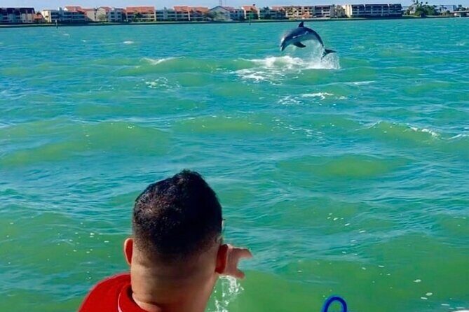 Private Dolphin & Architecture Tour in St. Petersburg, Fl - Who Will Enjoy This Tour?