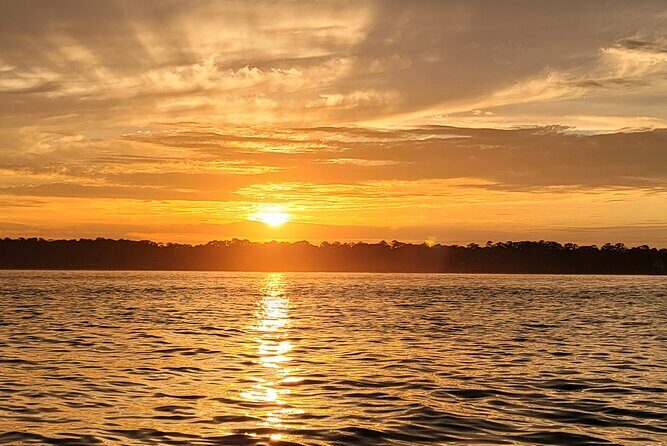 Private Dolphin Boat Tour in Hilton Head Island - Authentic Feedback from Travelers