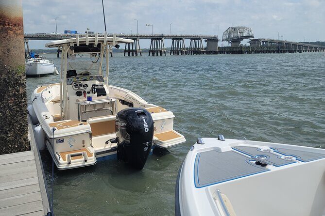 Private Dolphin Boat Tour in Hilton Head Island - Final Thoughts: The Value of a Private Dolphin Tour