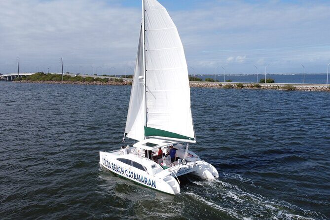 Private Dolphin Catamaran Sail In Cocoa Beach - The Sum Up