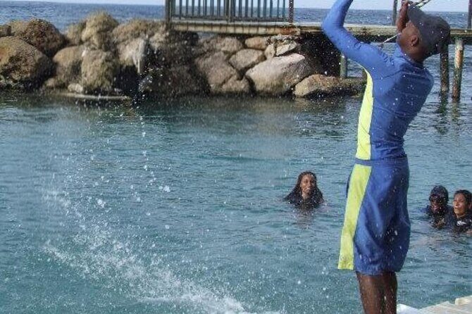 Private Dolphin Cove Adventure - Pricing and Value