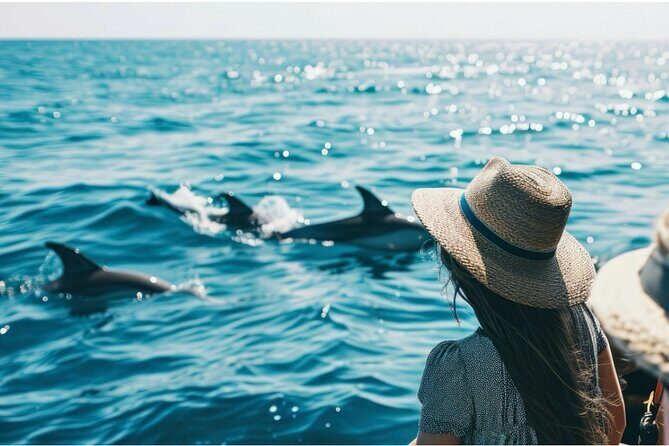 Private Dolphin Cruise in Panama City Beach - What Travelers Can Expect