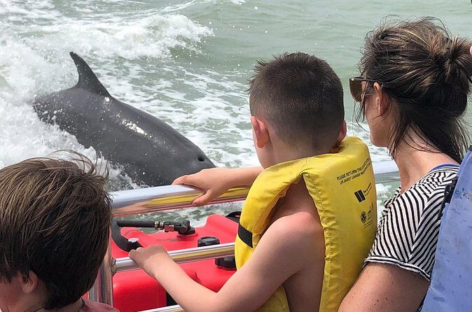 Private Dolphin, Shelling and Birding Tour - The Practicalities: Price, Duration, and Group Size