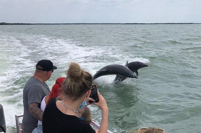 Private Dolphin, Shelling and Birding Tour - The Experience on the Water