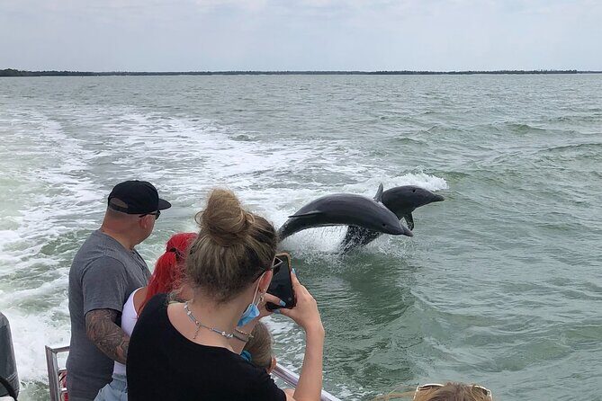 Private Dolphin, Shelling and Birding Tour - Who Will Love This Tour?