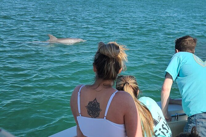Private Dolphin Sightseeing Excursion - Frequently Asked Questions