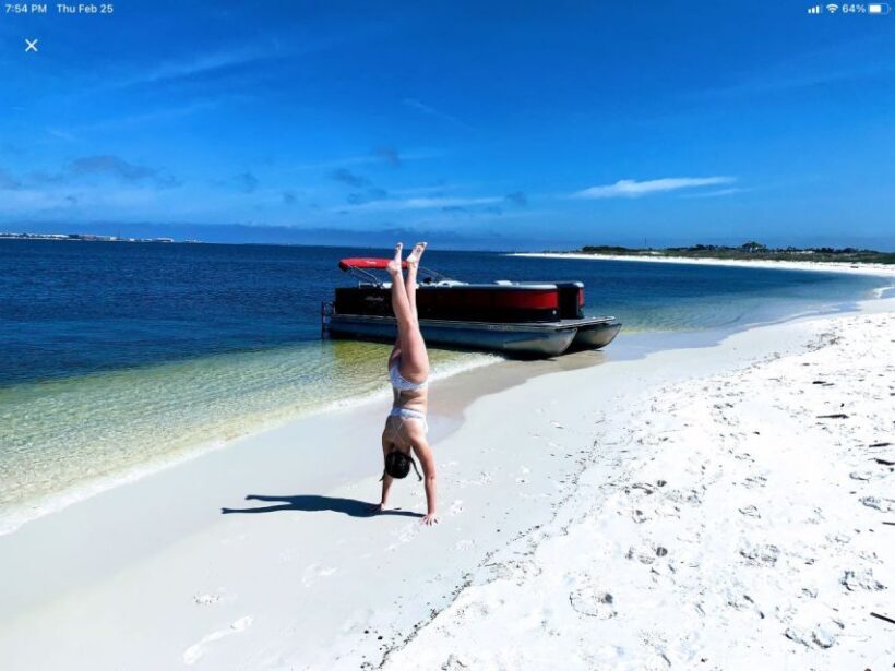Private Dolphin Tour with Secluded Beach/Snorkel Stop - A Closer Look at the Experience