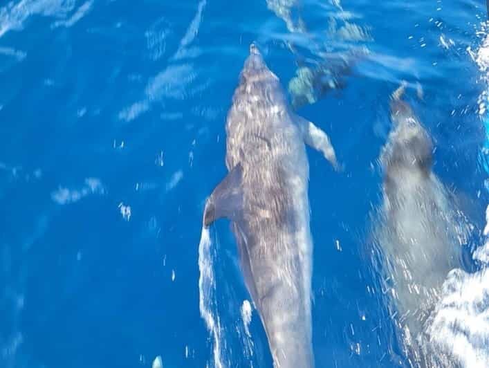 Private Dolphin Watch Boat Tour Port Aransas Texas - The Vessel and Comfort
