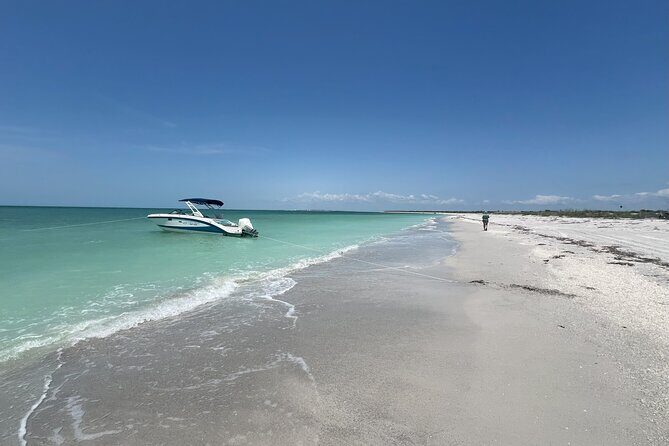 Private Dolphin Watching Beach Day Getaway - Key Points