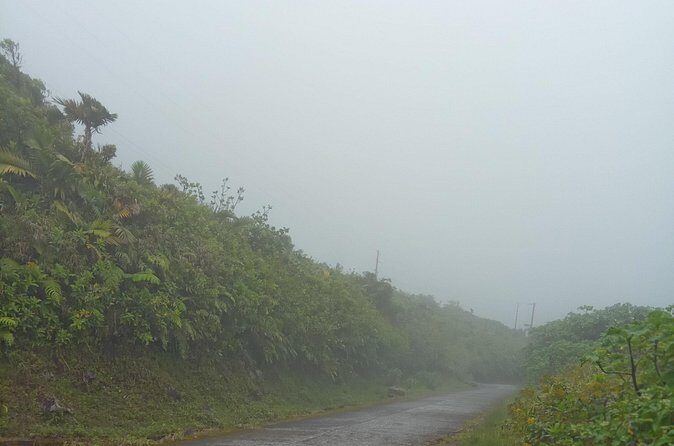 Private Dominica Tour to Trafalgar Falls &Titou Gorge via Minibus - How This Tour Balances Adventure and Comfort