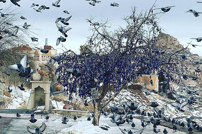 Private Double Tour North Cappadocia / South Cappadocia - Traveler Reviews and Experiences