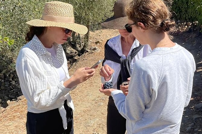 Private Douro 4x4 Adventure From Porto - Personalized Tour Experience