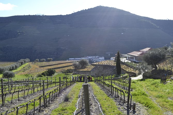 Private Douro 4x4 Adventure From Porto - Traveler Insights and Recommendations
