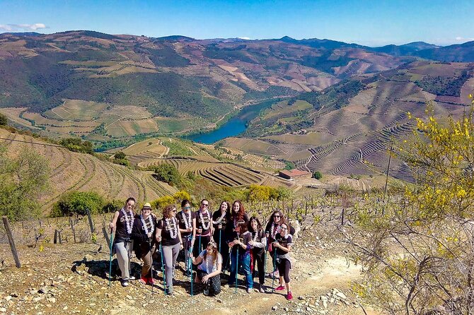 Private Douro and Porto 4x4 Tour With Wine Tasting and Boat Trip - Wine Tastings and Traditional Portuguese Lunch