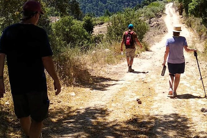 Private Douro and Porto 4x4 Tour With Wine Tasting and Boat Trip - Meeting and Pickup Arrangements