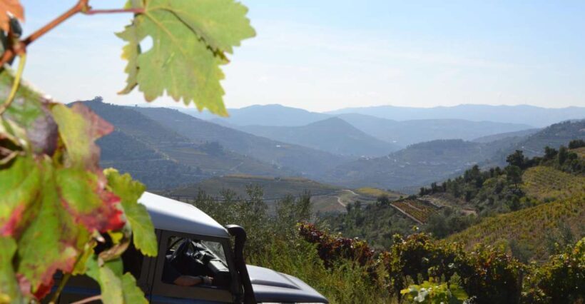 Private Douro Valley 4WD Tour with Wine Tasting and Picnic - From Porto to the Douro: What to Expect
