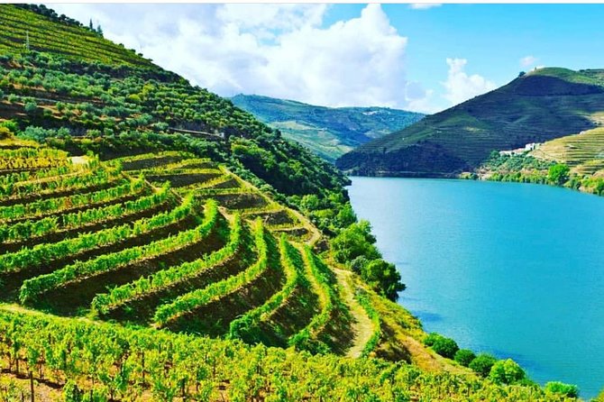 Private Douro Valley Food and Wine Tour From Porto - Whats Included in the Tour