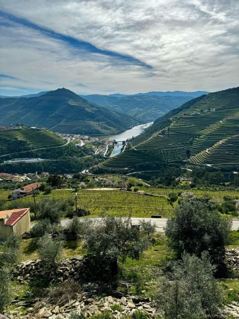 Private Douro Valley Full Day Tour - An In-Depth Look at the Douro Valley Tour