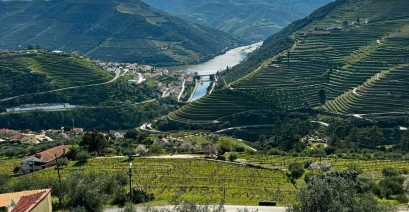 Private Douro Valley Full Day Tour - Transport and Group Size: Why It Matters