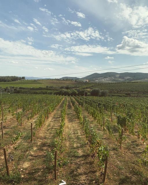 Private Douro Valley Full Day Tour - Final Thoughts: Is This Tour Right for You?