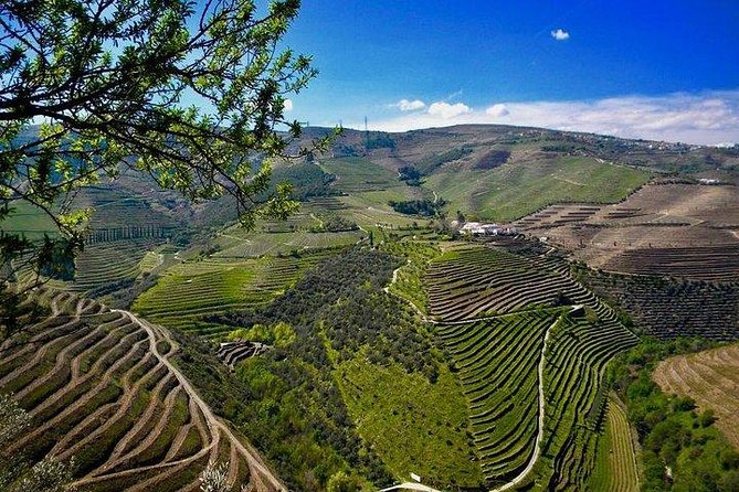 Private Douro Valley - Senses Experiences - Who Should Consider This Tour?