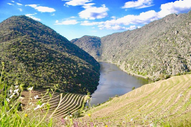 Private Douro Valley - Senses Experiences - The Sum Up: Is This Tour Worth It?