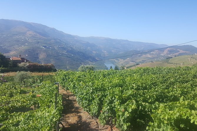 Private Douro Valley - Senses Experiences - FAQ