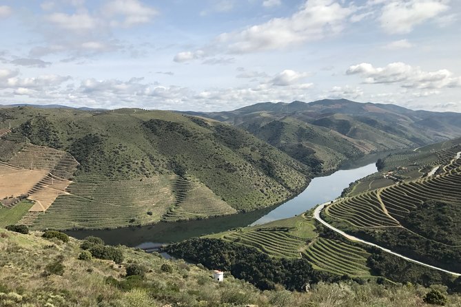 Private Douro Valley Tour Includes Wine Tasting and Boat Tour - Accessibility and Participation