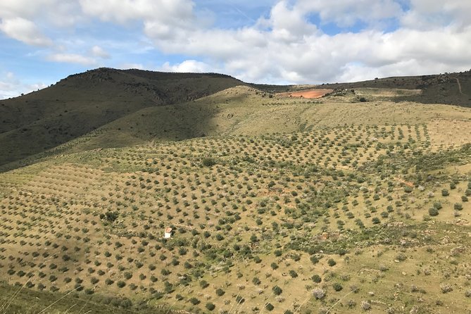 Private Douro Valley Tour Includes Wine Tasting and Boat Tour - Douro Valley Boat Tour