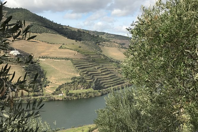 Private Douro Valley Tour Includes Wine Tasting and Boat Tour - Traveler Reviews
