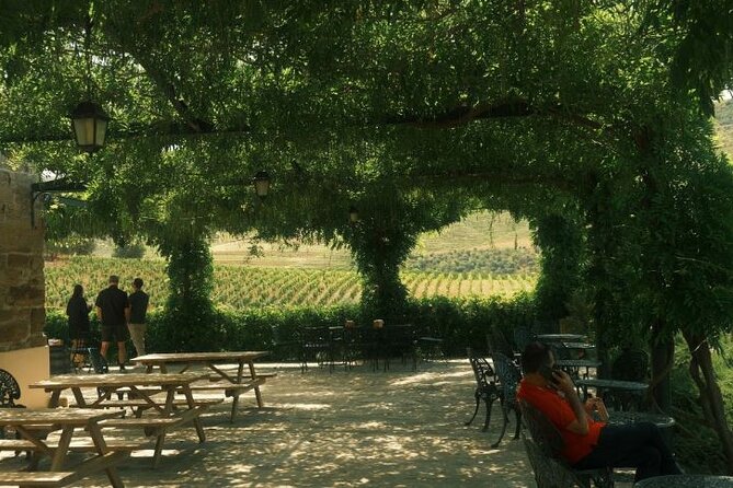 Private Douro Valley Tour With Lunch & Wines - Customer Experiences
