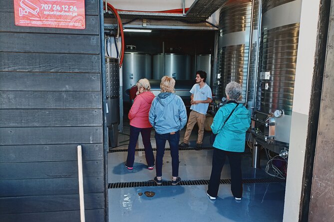 Private Douro Valley Tour With Sommelier, Lunch and Wine Tasting - Capturing the Scenic Views