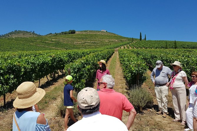 Private Douro Valley Wine Tour: 2 Wine Estates, Lunch and Cruise - Exploring the Douro Valley with a Private Wine Tour