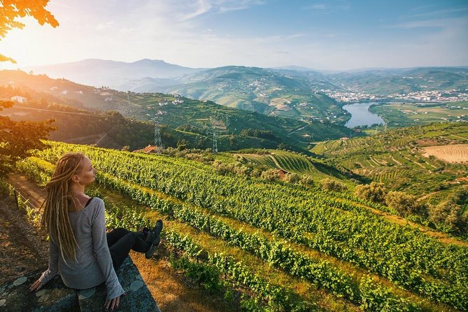 Private Douro Valley Wine Tour: 2 Wine Estates, Lunch and Cruise - A Closer Look at the Tour Experience