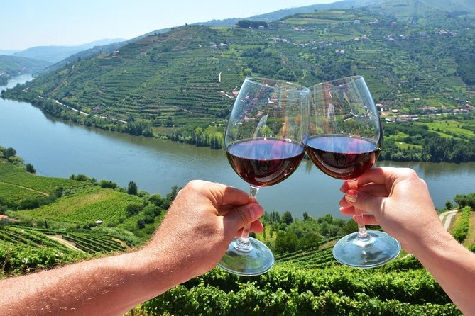 Private Douro Valley Wine Tour: 2 Wine Estates, Lunch and Cruise - Who Will Love This Tour?
