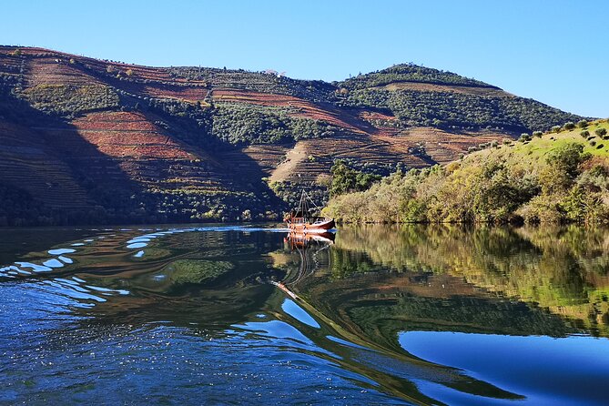 Private Douro Valley Wine Tour + Lunch and Boat Cruise - Key Points