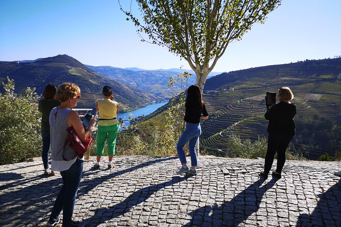 Private Douro Valley Wine Tour + Lunch and Boat Cruise - Who Should Consider This Tour?