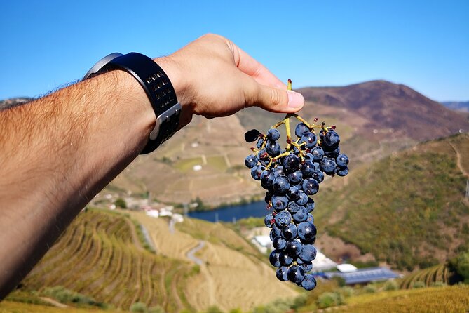 Private Douro Valley Wine Tour + Lunch and Boat Cruise - Final Thoughts