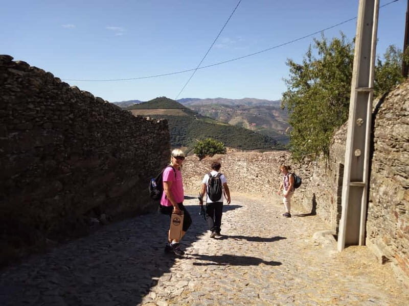 Private Douro Wine Experience - Full Day in the Douro Valley - Exploring the Itinerary: What You Can Expect