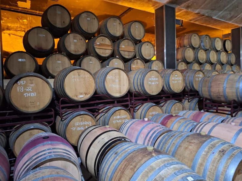Private Douro Wine Experience - Full Day in the Douro Valley - Final thoughts: Who is this tour best for?
