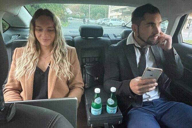 Private driver - Private Driver in Lourdes, France: A Practical and Comfortable Choice for Travelers