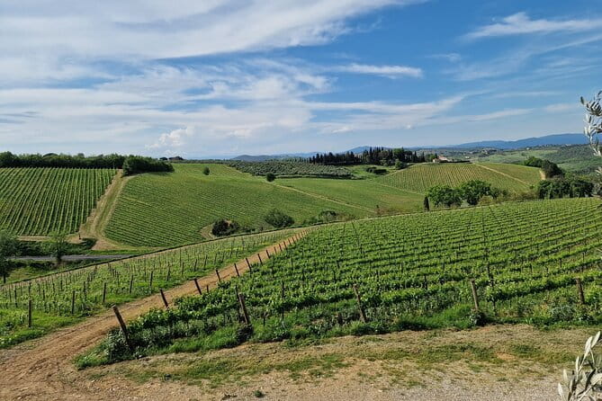 Private driver Florence Wine Tour countryside of Tuscany 7 hours - The Practical Side: Comfort, Timing, and Cost
