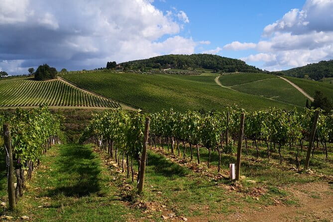 Private driver Florence Wine Tour countryside of Tuscany 7 hours - Summary: Is This Tour Right for You?