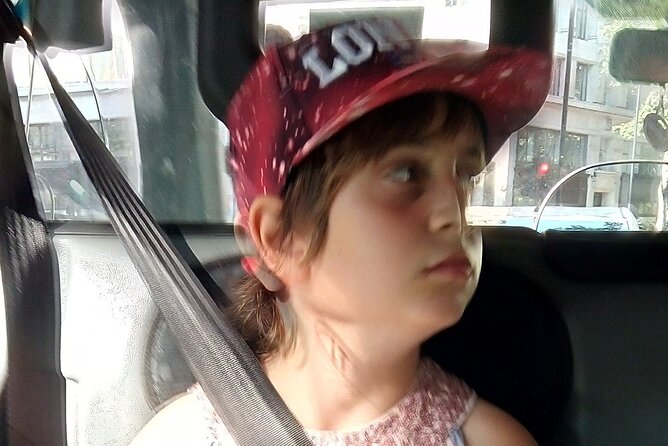 Private Driver Guided Tour London - Westminster Abbey and Tower of London