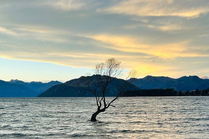 Private Driver Hire  Full-Day Touring Anywhere in New Zealand - Introducing the Private Driver Hire in New Zealand