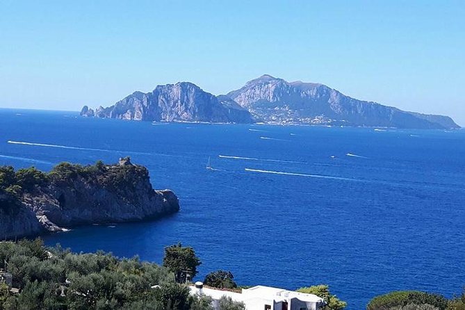 Private Driver VIP Tour of Sorrento & its food delicacies - Who Will Love This Tour?