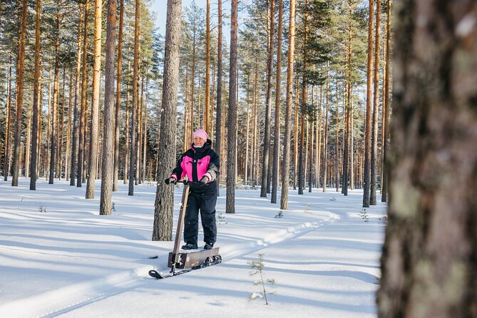 Private Driving Snow Scooters Experience in Finland - Experience Summary